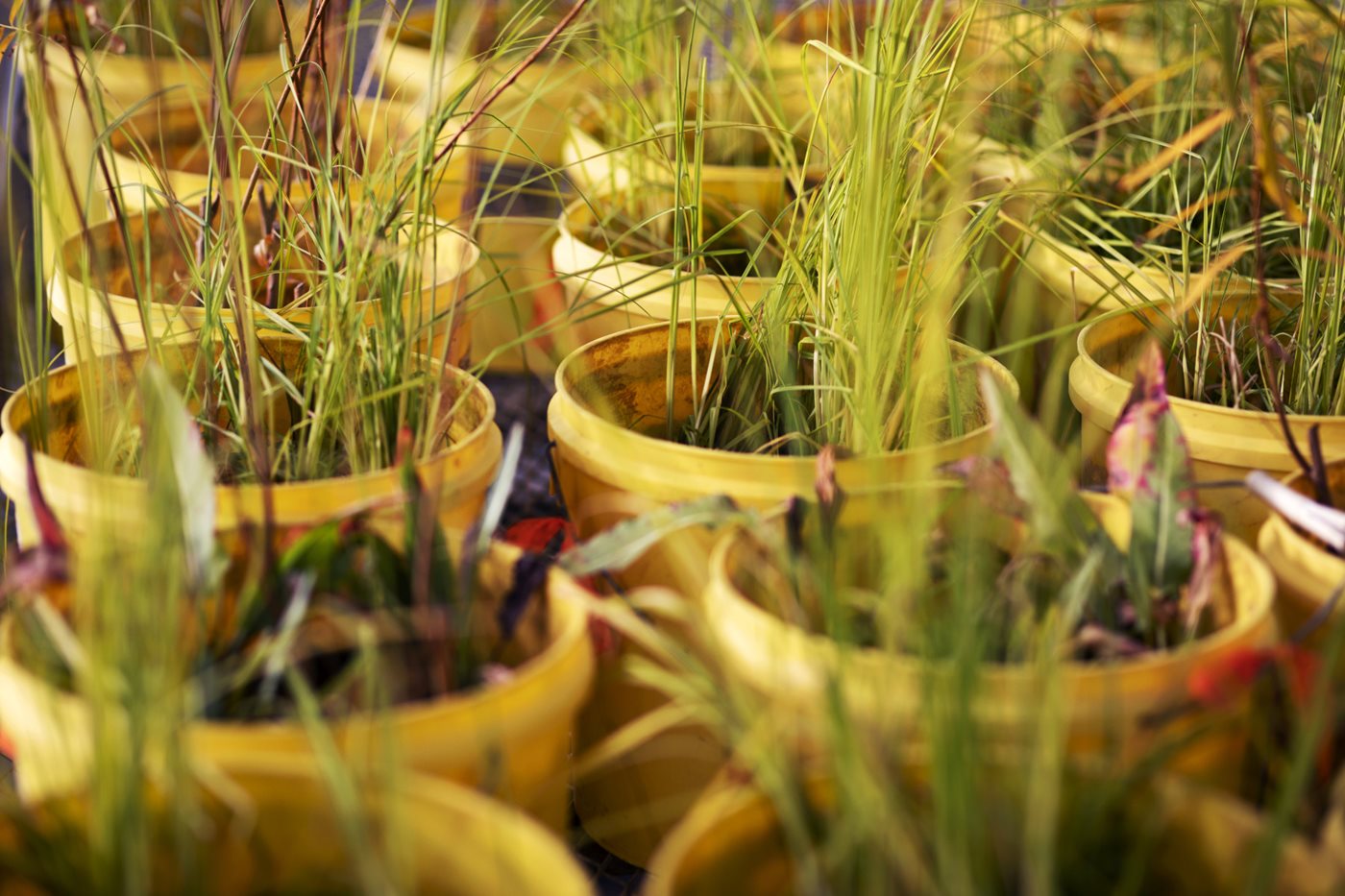 Centre for Boreal Research - NAIT Applied Research