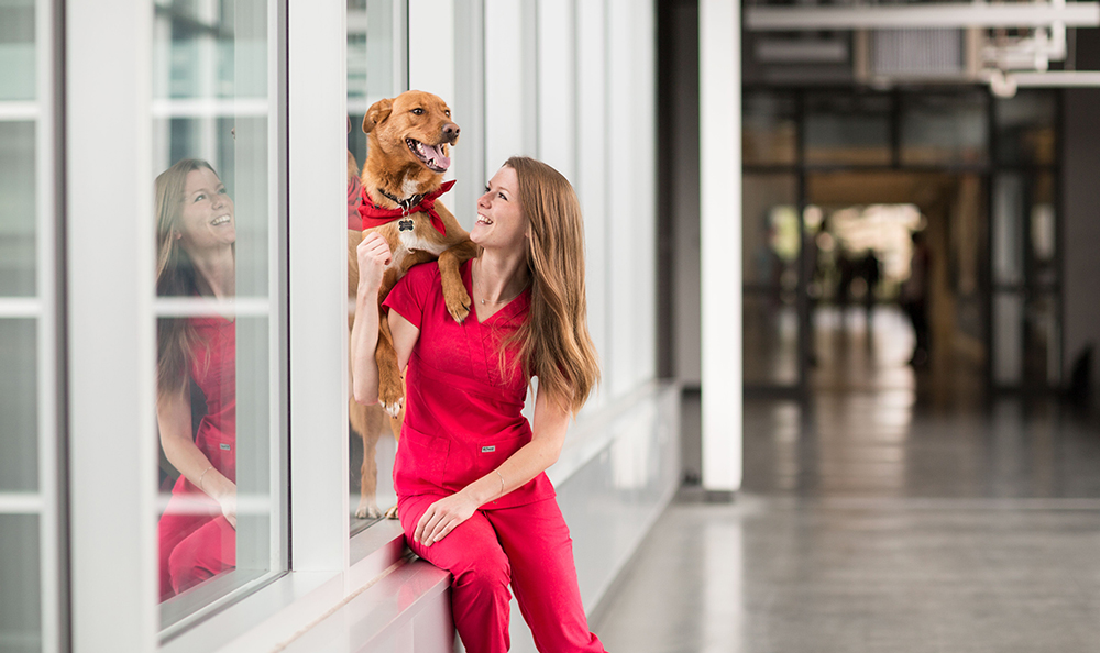 Animal Health Technology - NAIT