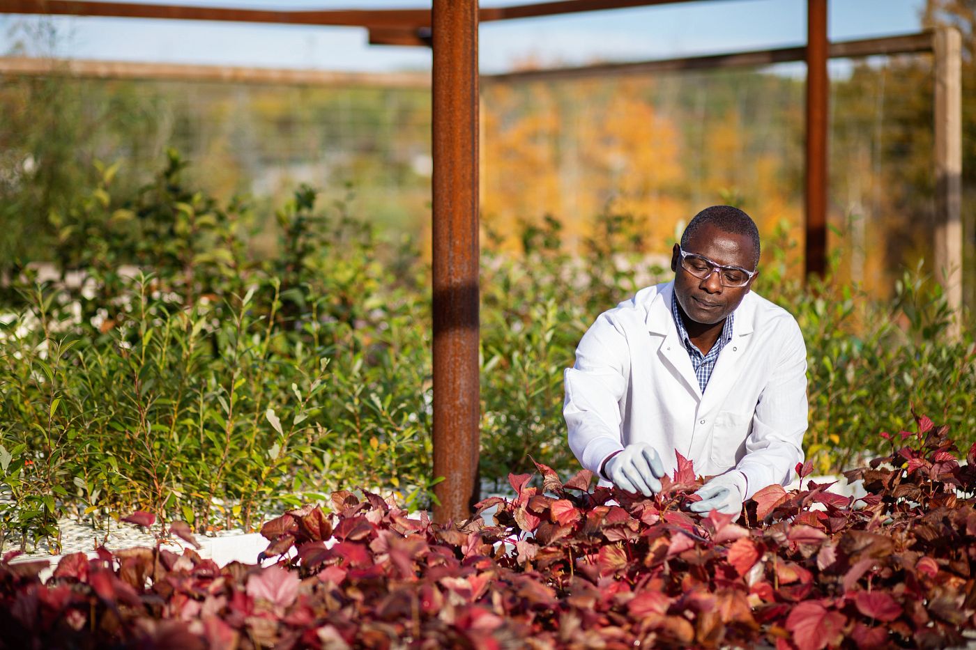 Research Areas - NAIT Applied Research