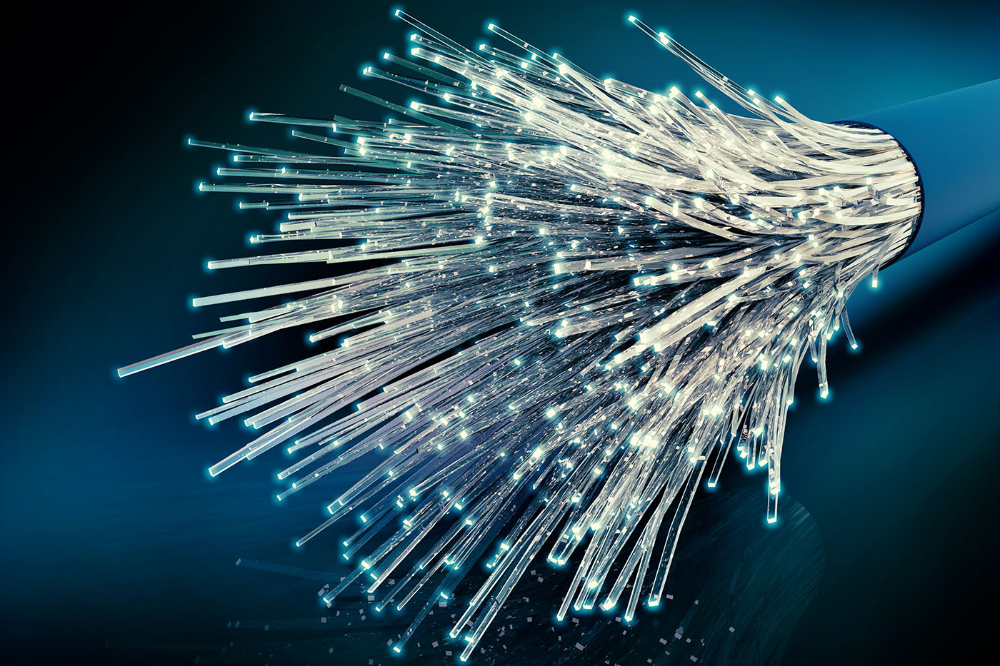 Continuing Education Programs & Courses