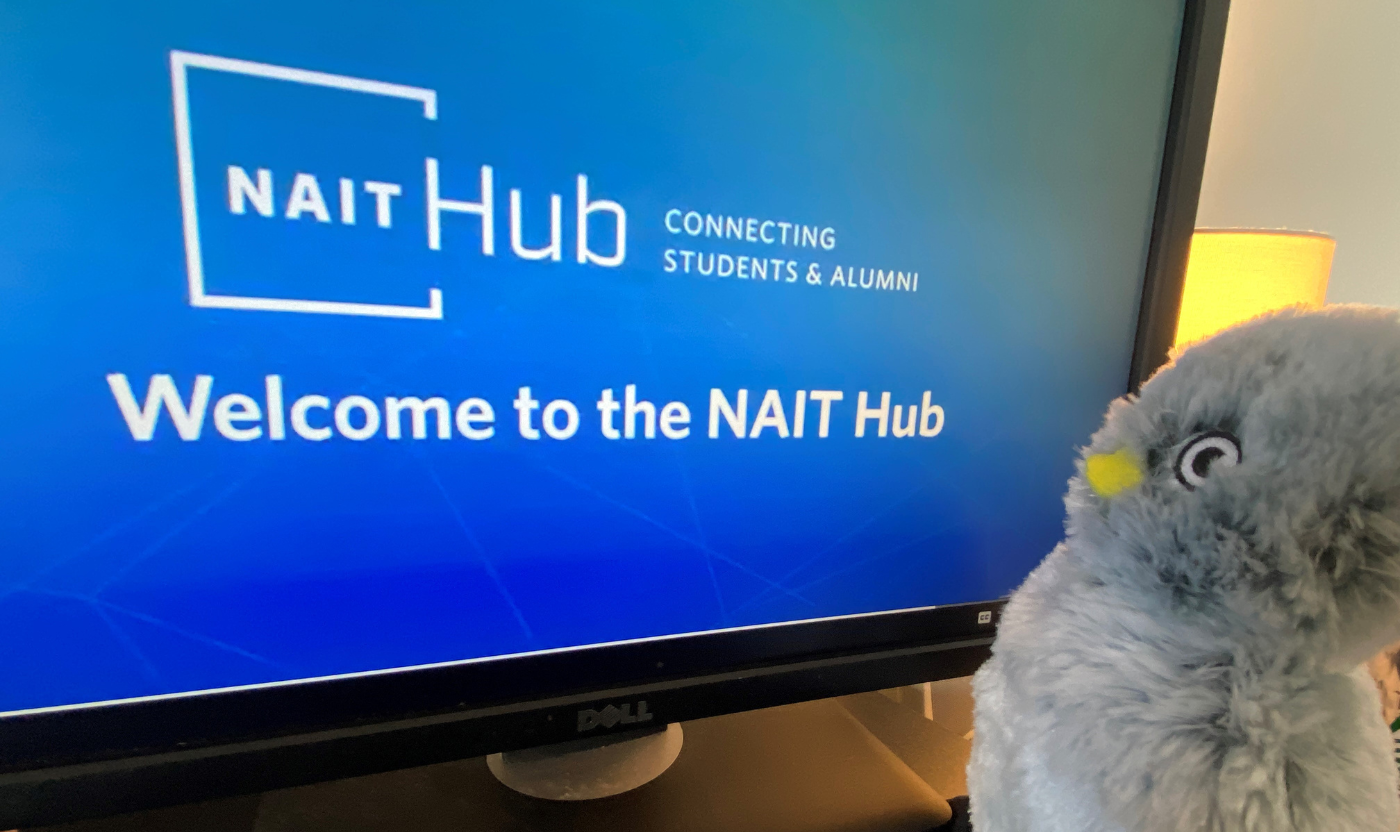 Using the NAIT Hub for Networking and Mentoring - Alumni