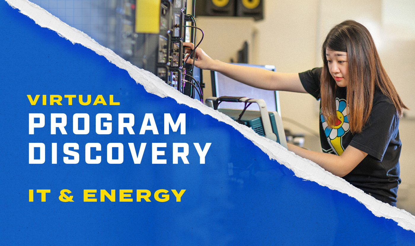Virtual Program Discovery: IT & Energy