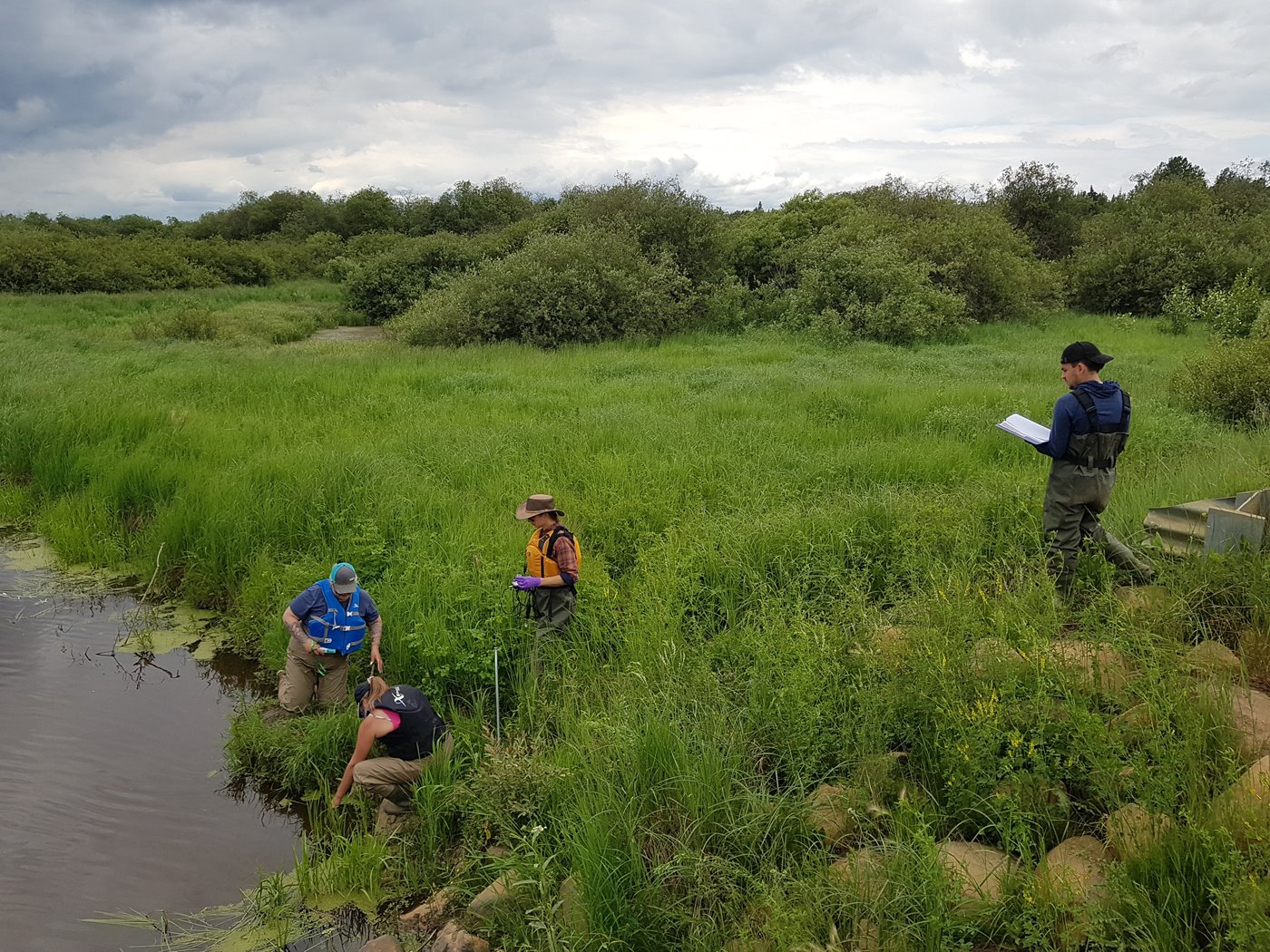 Our Work and Impact - NAIT Applied Research