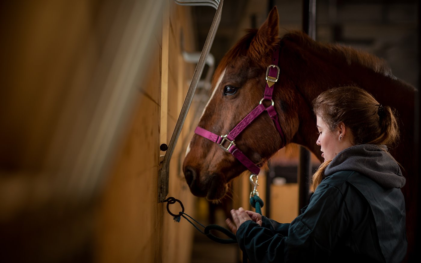 Veterinary Medical Assistant - NAIT